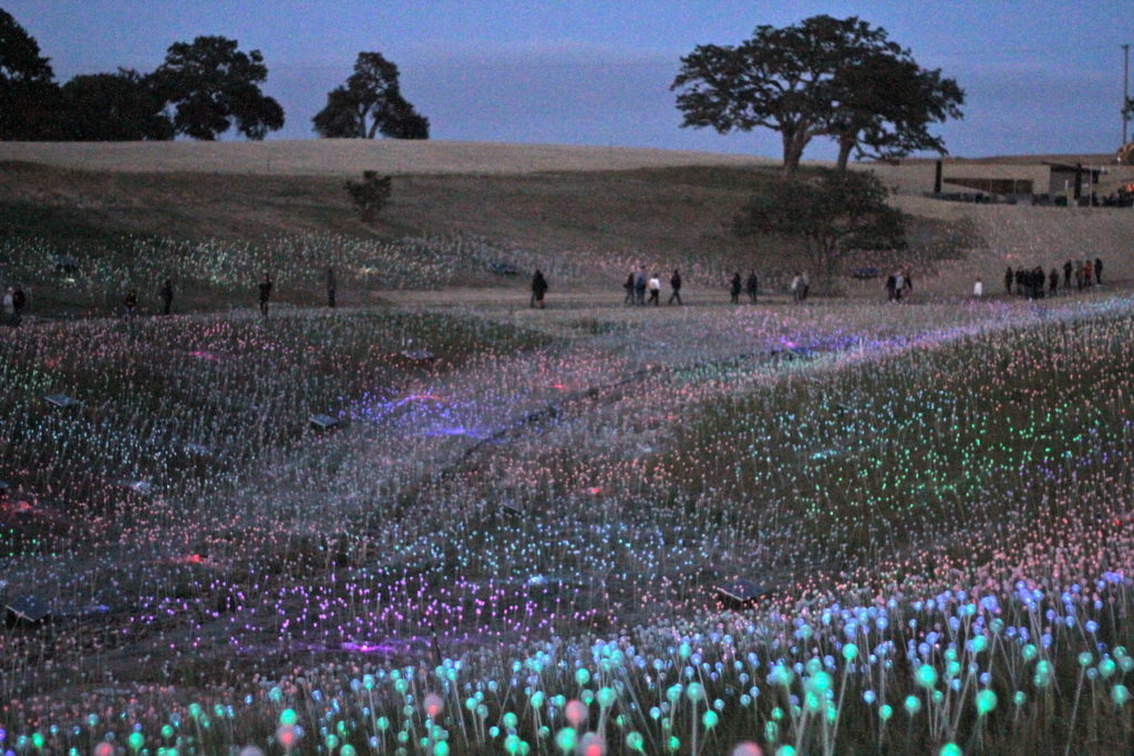 Field of Light - San Luis Obispo Guide